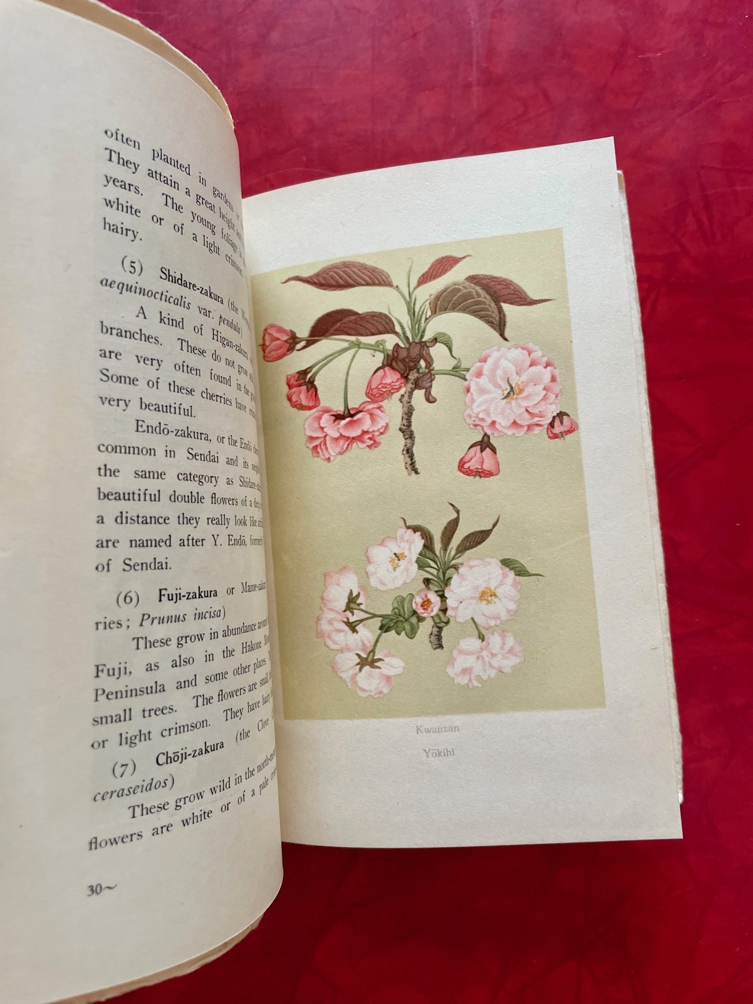 Book and Ephemera Fair Online