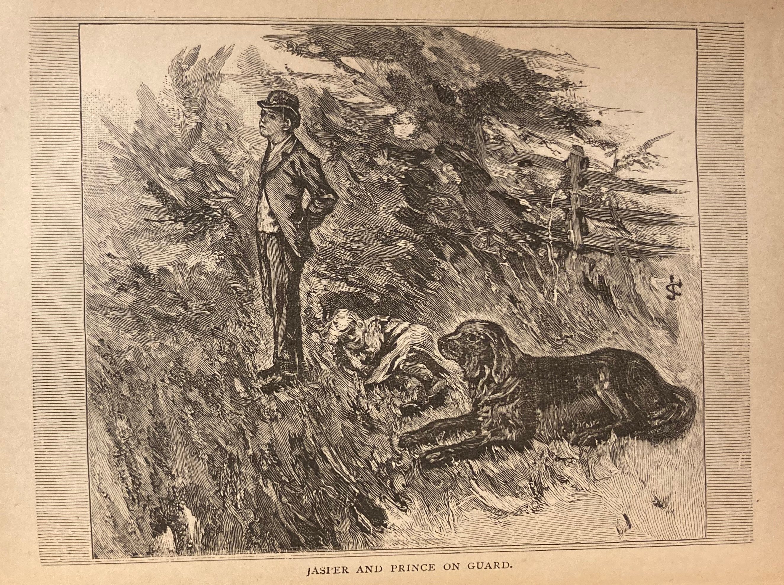 Book and Ephemera Fair Online